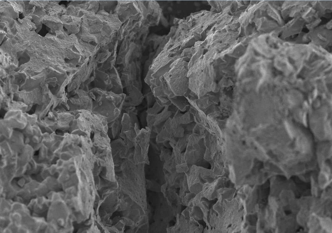 Bioactive Glass - MO SCI