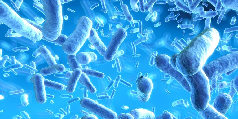 Bioactivity Testing for Medical Implants - Mo-Sci